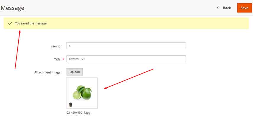 Image Upload in Magento 2 UI Form | MageRubik